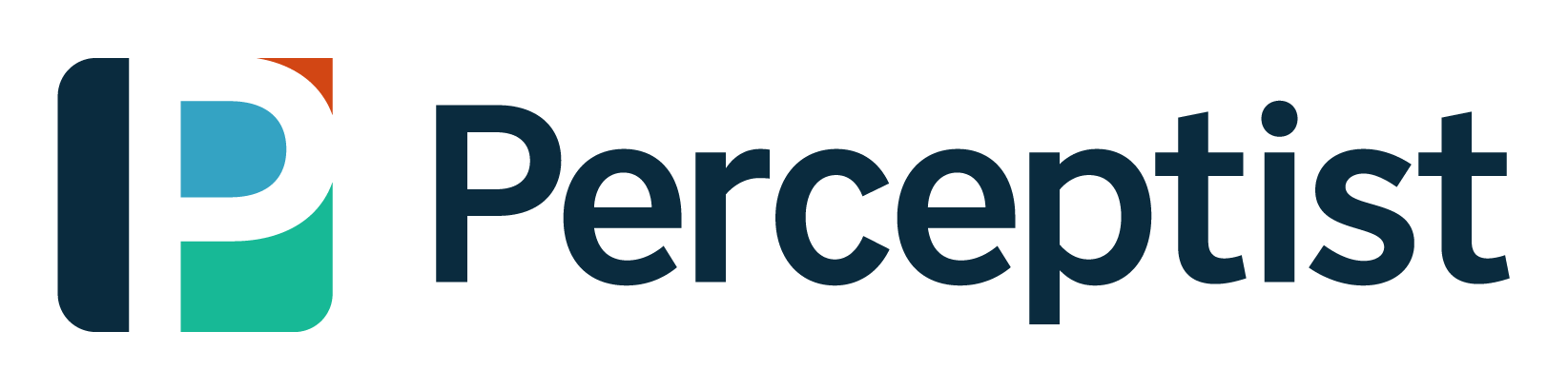 Perceptist – Social Impact Strategy